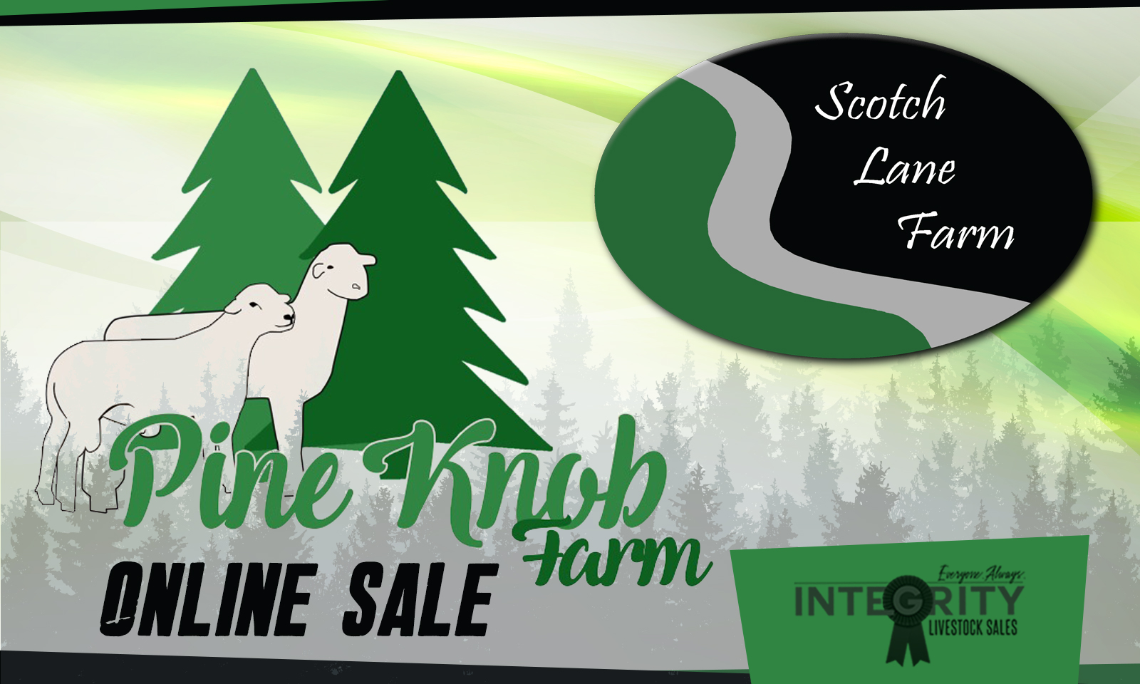 Pine Knob Farm and Scotch Lane Farm Online Production Sale 4/28/2025 ...