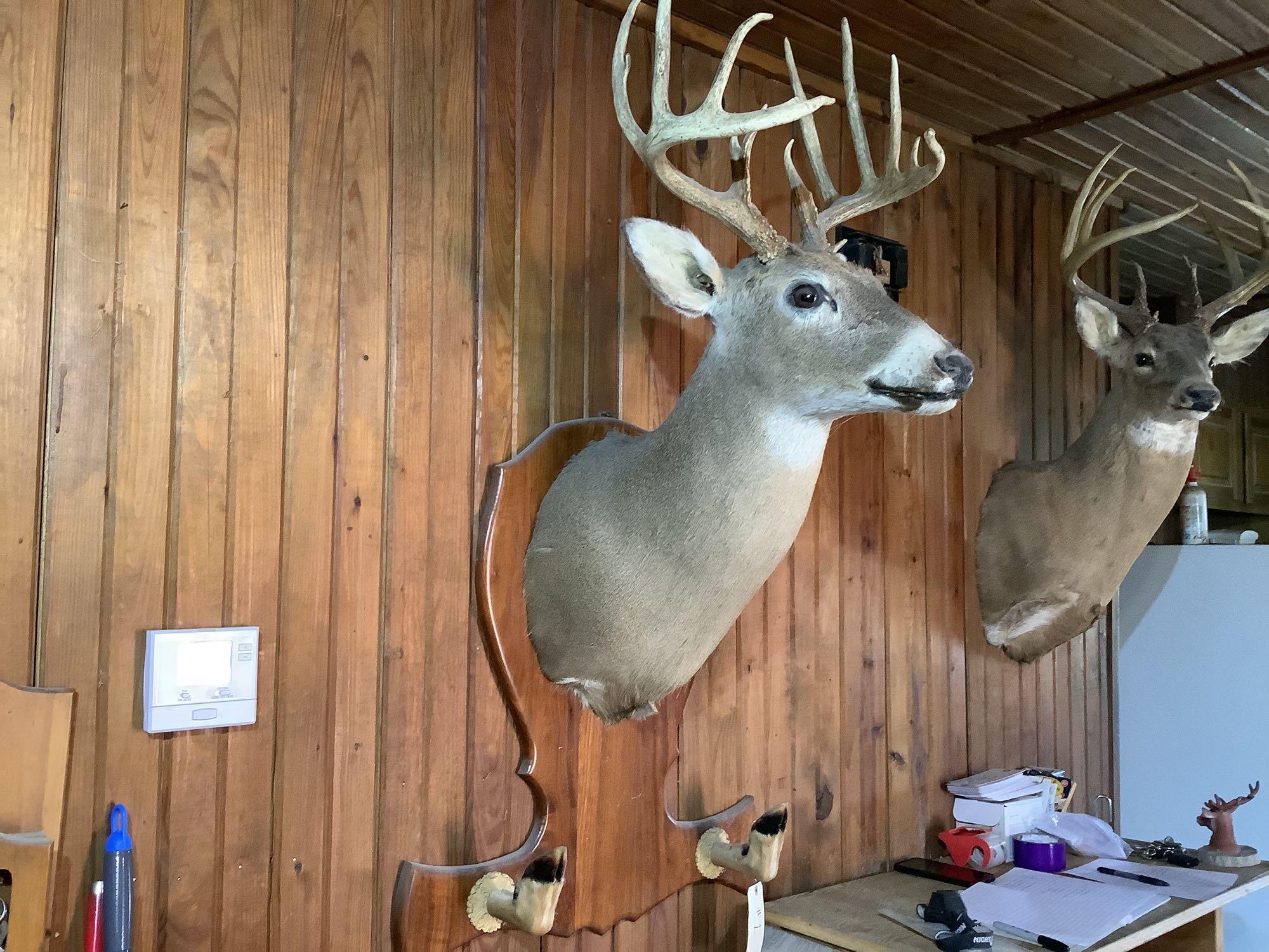 The Mini Ranch & Estate - Rural Douglass Kansas- Little Bull Auction ...