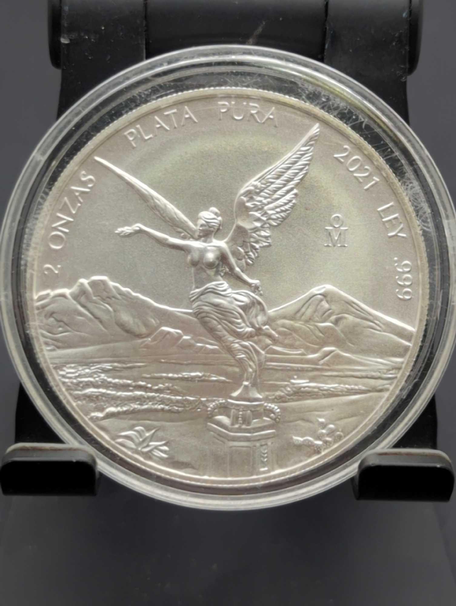 January Estate Jewelry, Coin, & Bullion - Wichita Kansas- Little Bull ...