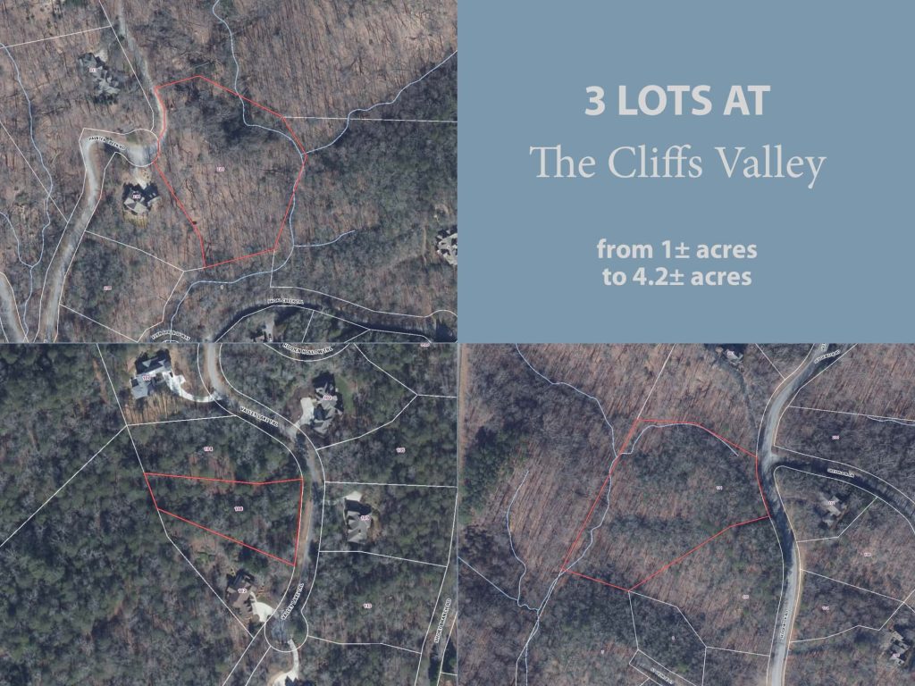 2025 June - Lots at the Cliffs Valley- Terry Howe and Associates, Inc