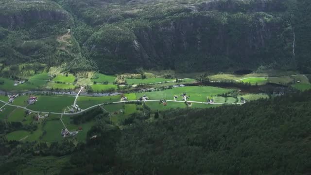 Video info | Kurator App