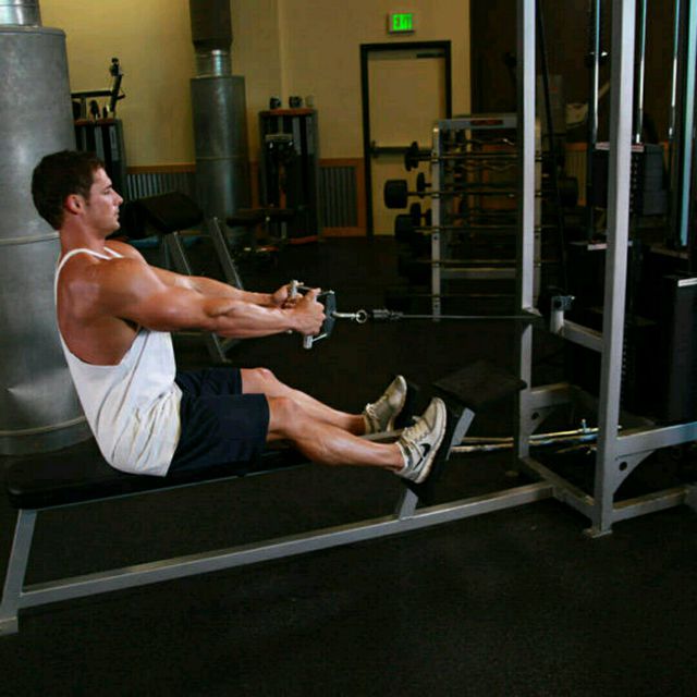 Seated Cable Rows (custom) by Thomas R. - Exercise How-to - Skimble