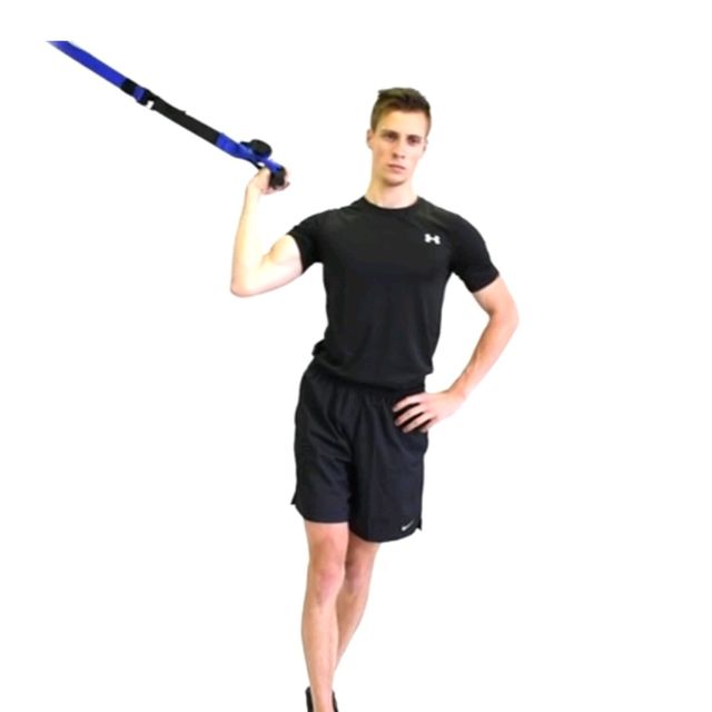 One Arm Biceps Curl Left - Exercise How-to - Workout Trainer by Skimble