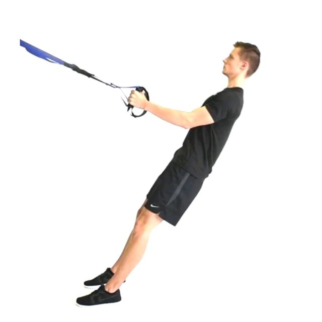 TRX MID ROW / BICEPS CURL - Exercise How-to - Workout Trainer by Skimble