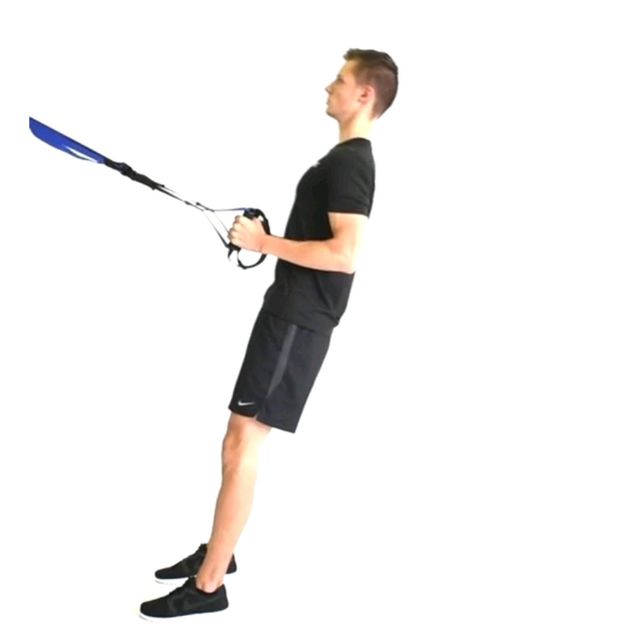TRX MID ROW / BICEPS CURL - Exercise How-to - Workout Trainer by Skimble
