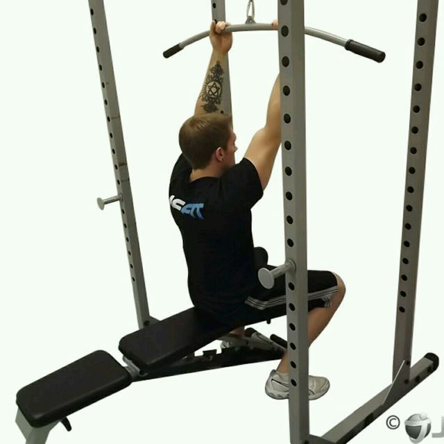 CM Seated Overhead Bicep Curl Pulldown - Exercise How-to - Workout Trainer by Skimble