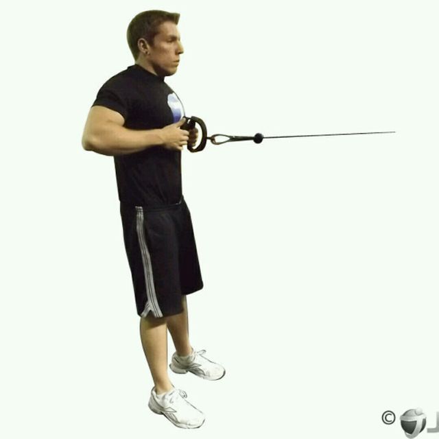 CM Standing Row by Pavel B. - Exercise How-to - Skimble