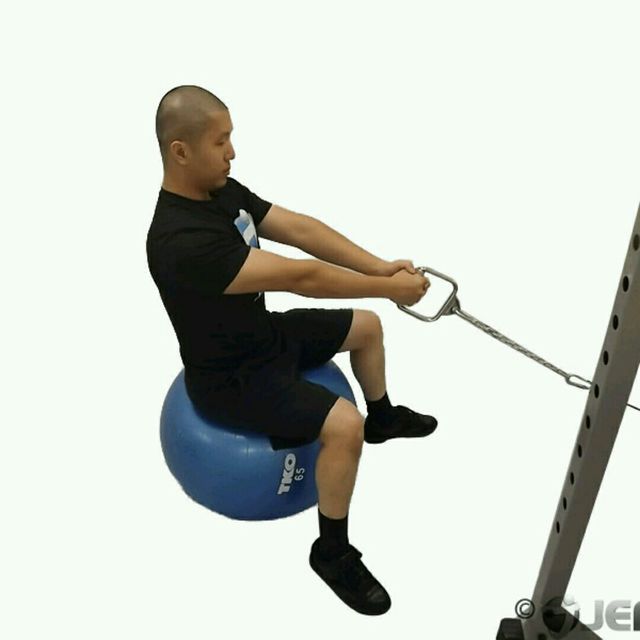 Torso Twist Exercise