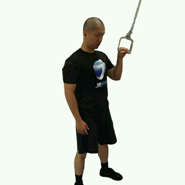 CM One Hand Triceps Pushdown by Pavel B. - Exercise How-to - Skimble