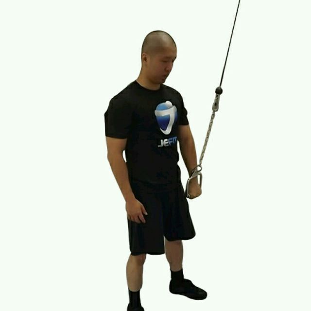CM One Hand Triceps Pushdown by Pavel B. - Exercise How-to - Skimble
