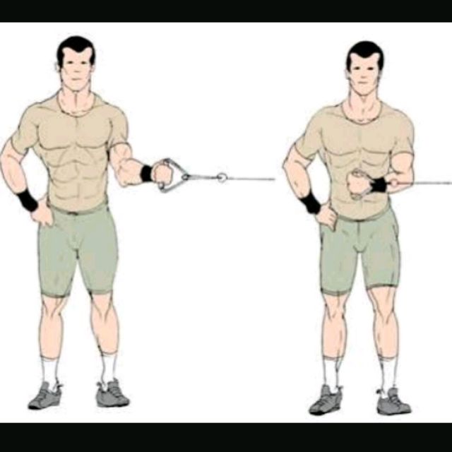 Shoulder Internal Rotations With Band - Exercise How-to - Workout ...