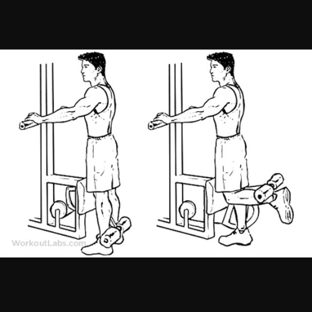 Standing Leg Curl by Yoon Jeong J. - Exercise How-to - Skimble