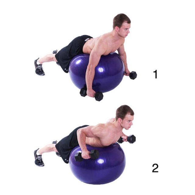 Remo Con Mancuernas Sobre Pelota by Gustavo Daza - Ejercicio Cómo ...