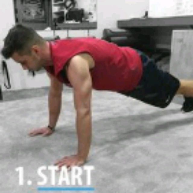 SPHINX PUSH UPS by 𝔻𝕖𝕤𝕖𝕣𝕥 𝔽𝕠𝕩🦊 🌟 - Exercise How-to - Skimble