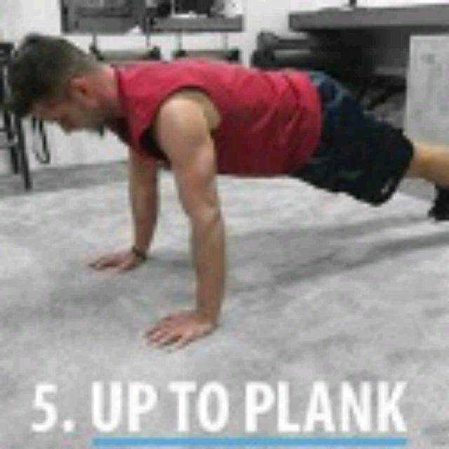 SPHINX PUSH UPS by 𝔻𝕖𝕤𝕖𝕣𝕥 𝔽𝕠𝕩🦊 🌟 - Exercise How-to - Skimble