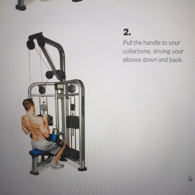 Neutral Grip Pull Down by William Bryant - Exercise How-to - Skimble