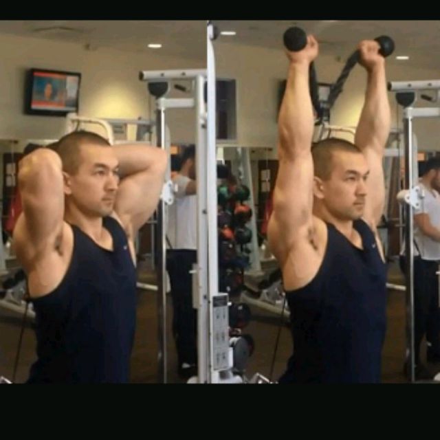 Rope Triceps extension by 𝔻𝕖𝕤𝕖𝕣𝕥 𝔽𝕠𝕩🦊 🌟 - Exercise How-to - Skimble