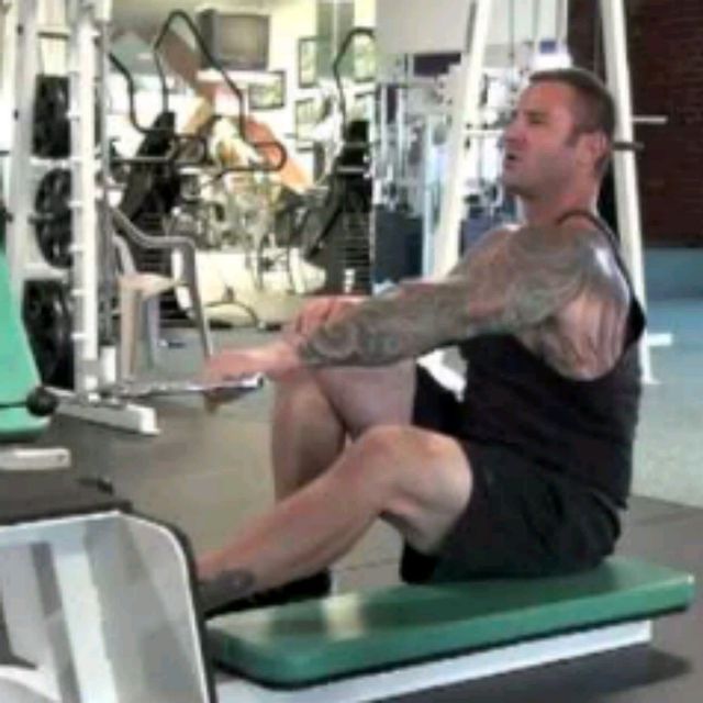 One Arm Seated Row par 𝔻𝕖𝕤𝕖𝕣𝕥 𝔽𝕠𝕩🦊 🌟 - Comment faire de l'exercice ...