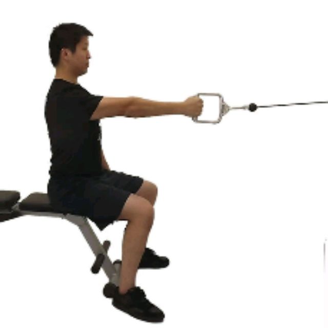 One Arm Seated Row por 𝔻𝕖𝕤𝕖𝕣𝕥 𝔽𝕠𝕩🦊 🌟 - Ejercicio Cómo hacerlo - Skimble