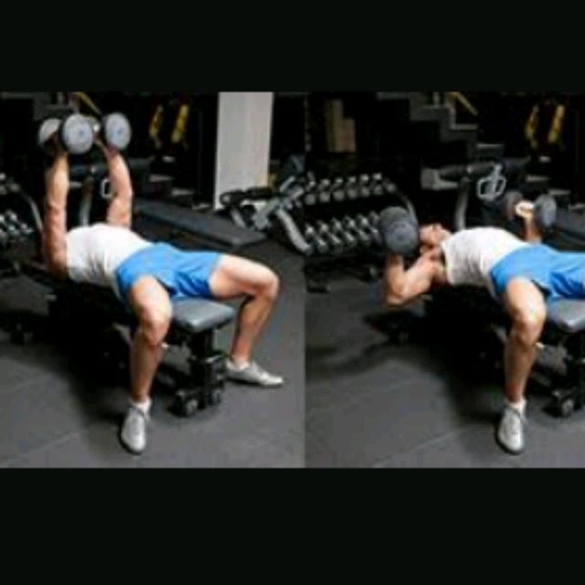 Dumbbell Flat Press 4 X 10 by 𝔻𝕖𝕤𝕖𝕣𝕥 𝔽𝕠𝕩🦊 🌟 - Exercise How-to - Skimble