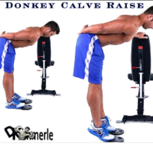 Donkey Calf Raise - Exercise How-to - Workout Trainer by Skimble