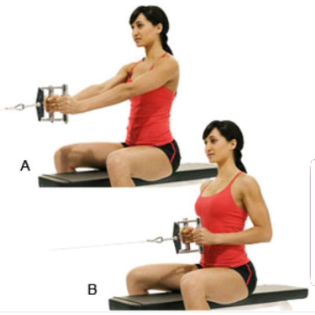 Seated Close Grip Row 10 To 12 Reps By Exercise How 