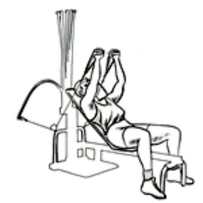 Bowflex Leg Curl - Exercise How-to - Workout Trainer by Skimble