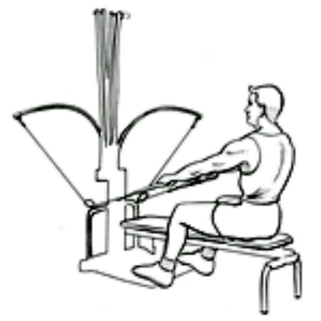 Bowflex Lower Back Exercises | atelier-yuwa.ciao.jp