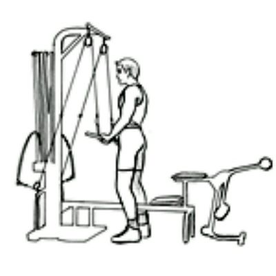 Bowflex Leg Press - Exercise How-to - Workout Trainer by Skimble