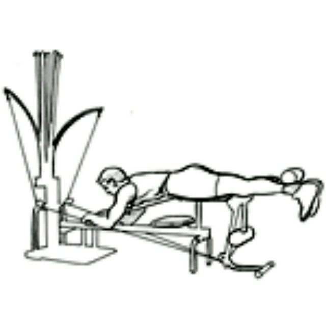 Bowflex Seat Leg Curl - Exercise How-to - Workout Trainer by Skimble