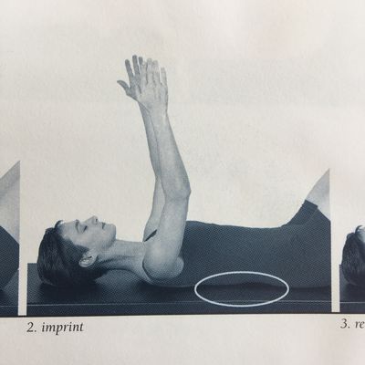 Teres Major Stretch - Exercise How-to - Workout Trainer by Skimble