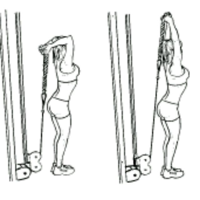 Overhead cable Tricep Extensions by Daniel Arixi - Exercise How-to ...