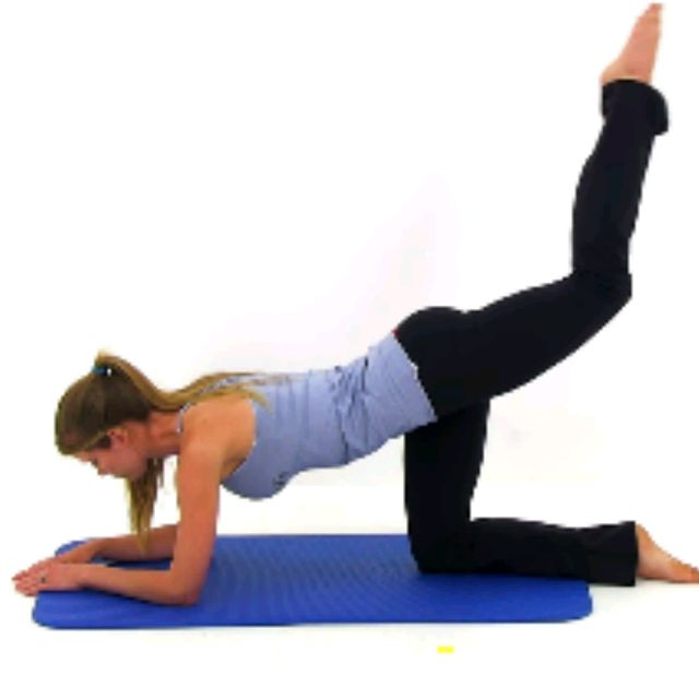 Kneeling Leg Curls - Exercise How-to - Workout Trainer by Skimble