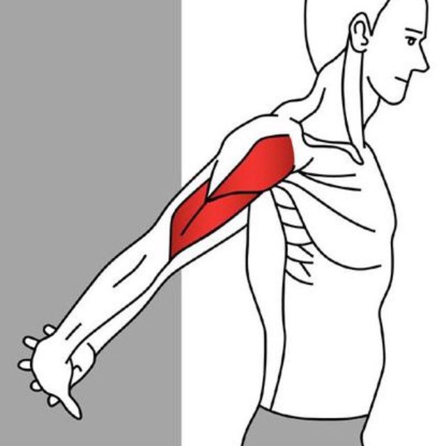 Arm Stretch Arms at Ella Reibey blog