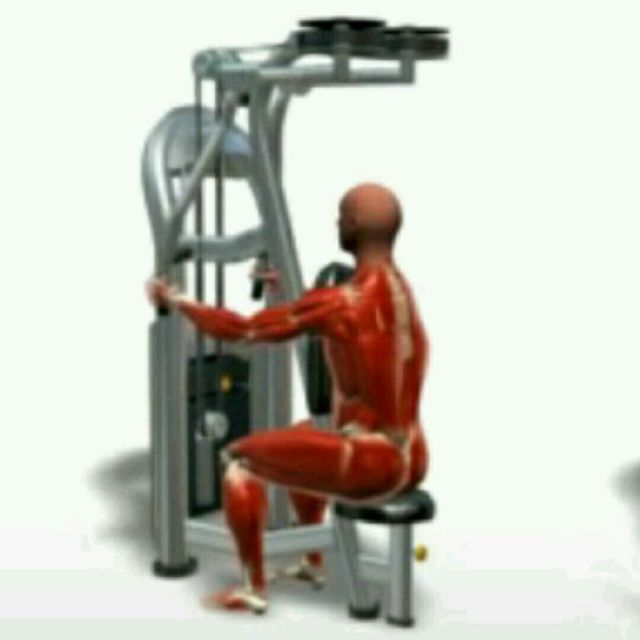 Rear Delts Machine - Exercise How-to - Workout Trainer by Skimble