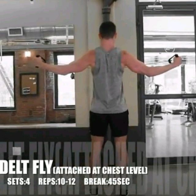 Back Fly - Exercise How-to - Workout Trainer by Skimble