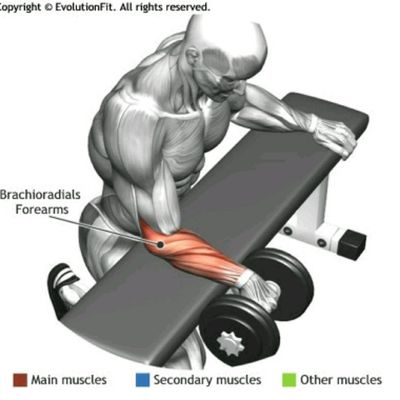 Palm Up Wrist Curl - Exercise How-to - Workout Trainer by Skimble