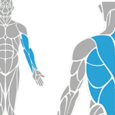 Lateral Cable Extensions - Exercise How-to - Workout Trainer by Skimble