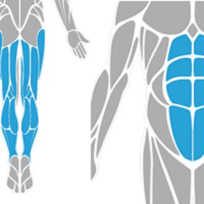 Lateral Cable Extensions - Exercise How-to - Workout Trainer by Skimble