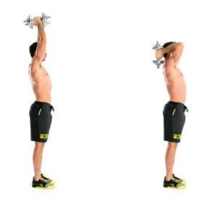 Overhead Tricep Extensions - Exercise How-to - Workout Trainer by Skimble