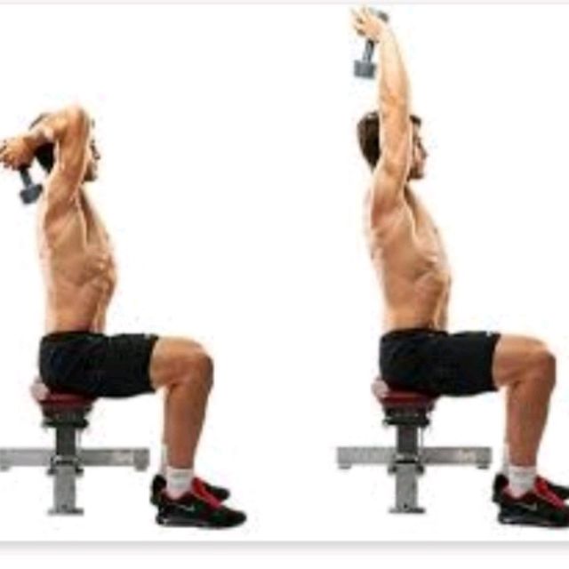 Two Arm Seated Dumbbell Extansion by Atılgan A. - Exercise How-to - Skimble