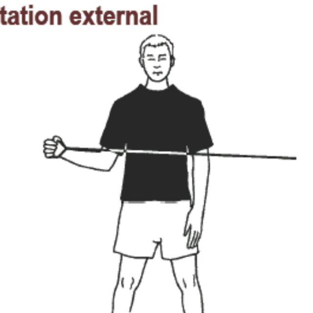 External Rotator Shoulder - Exercise How-to - Workout Trainer by Skimble