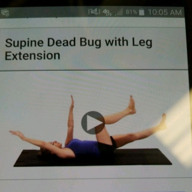 Supine Dead Bug With Leg Extensions - Exercise How-to - Workout Trainer ...