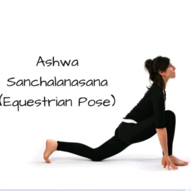 Ashwa Sanchalanasana- Left by 𝔻𝕖𝕤𝕖𝕣𝕥 𝔽𝕠𝕩🦊 🌟 - Exercise How-to - Skimble