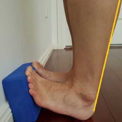 Quad Set - towel under knee - Exercise How-to - Workout Trainer by Skimble