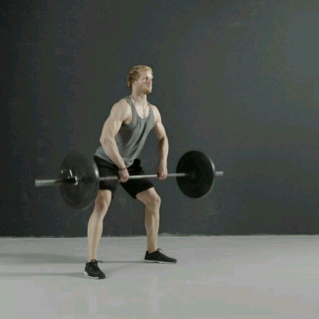 Sumo Pulls by Luca⚡ 🔹. - Exercise How-to - Skimble