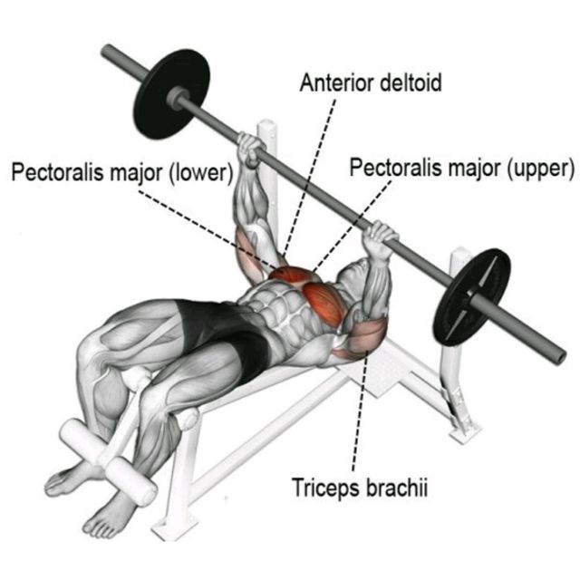 Decline Presses by Roberto Hori - Exercise How-to - Skimble