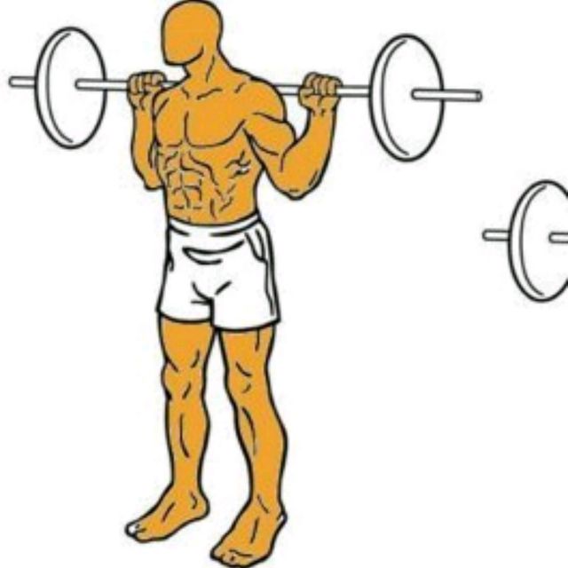 Sentadilla Con Barra by Andres Velasquez - Ejercicio Cómo hacerlo - Skimble