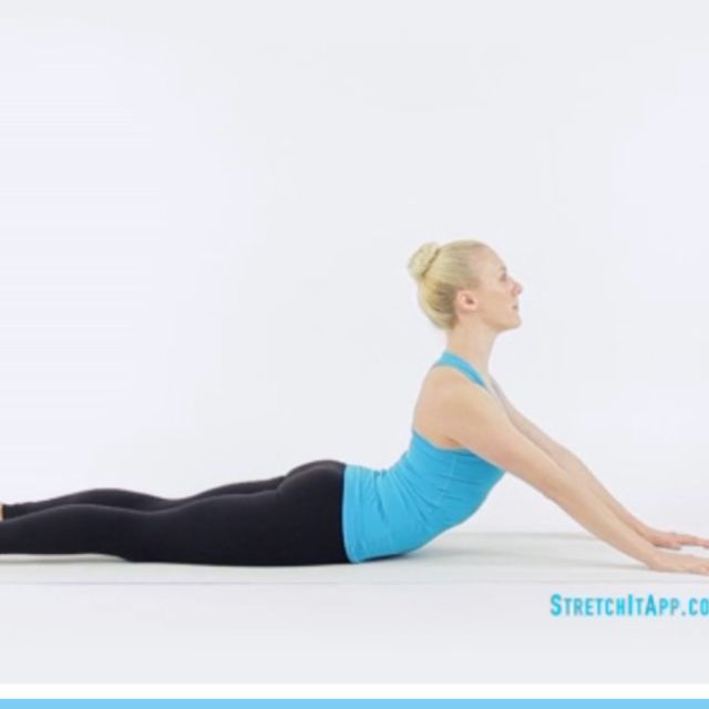 Supported To Regular Sphinx Pose by 💖 P. - Exercise How-to - Skimble