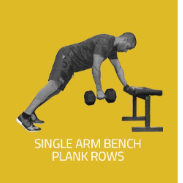 Single Arm Bench Plank Row by Rob D - Exercise How-to - Skimble